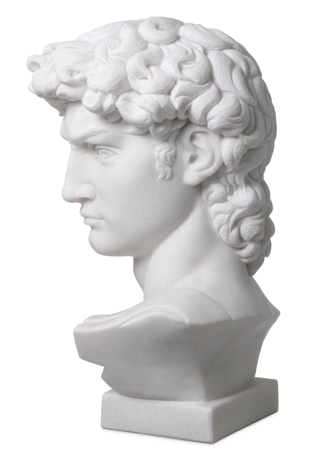 David Statue Head